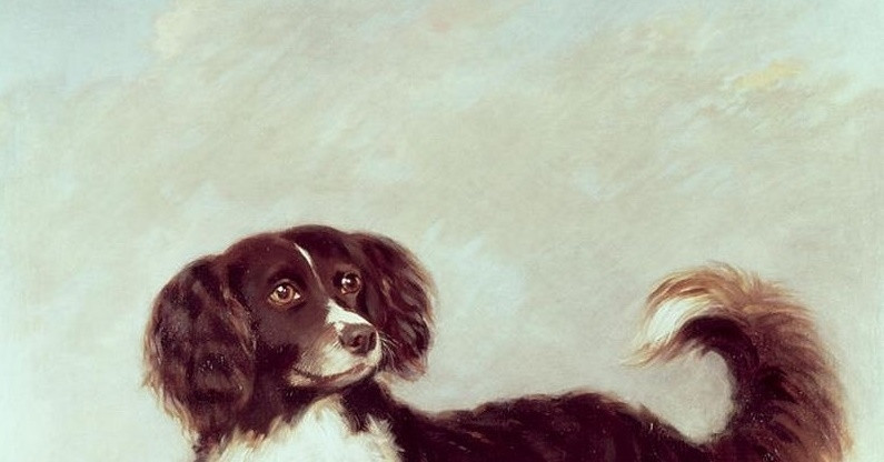 Đúng 6h thứ Sáu 3/10/2025, 3 con giáp hồng phúc sâu dày