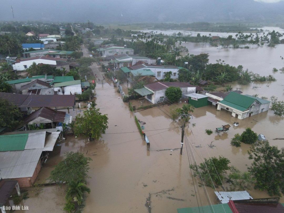 Hòa Minzy, Bùi Công Nam, Diệp Lâm Anh ủng hộ bà con bão lũ số tiền lớn