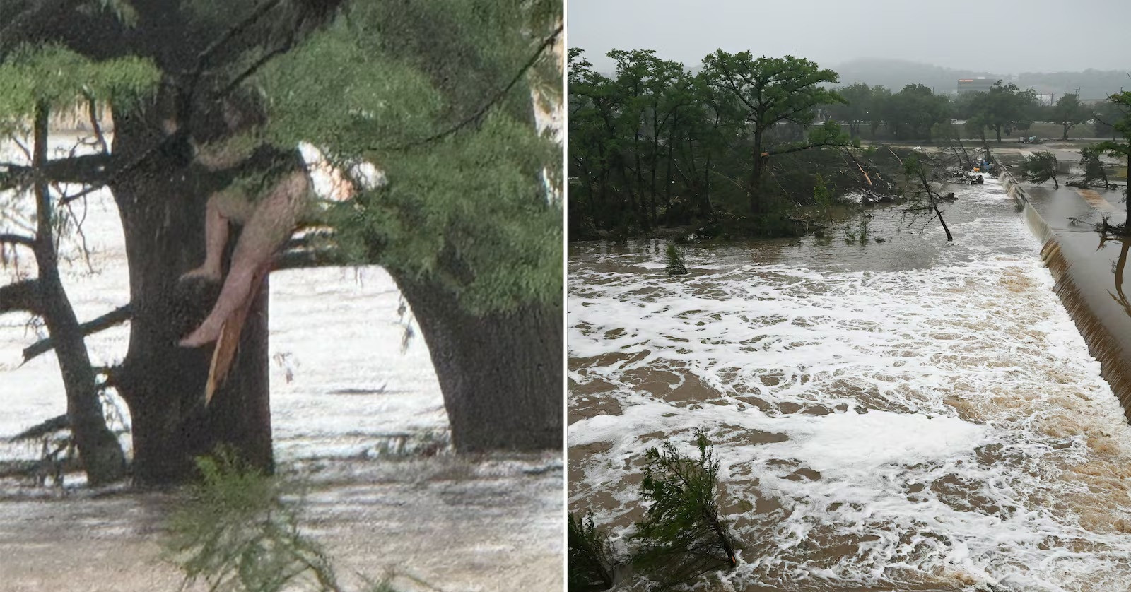 Bị lũ quét cuốn trôi 32km, cô gái trẻ sống sót kỳ diệu nhờ bám được vào cây